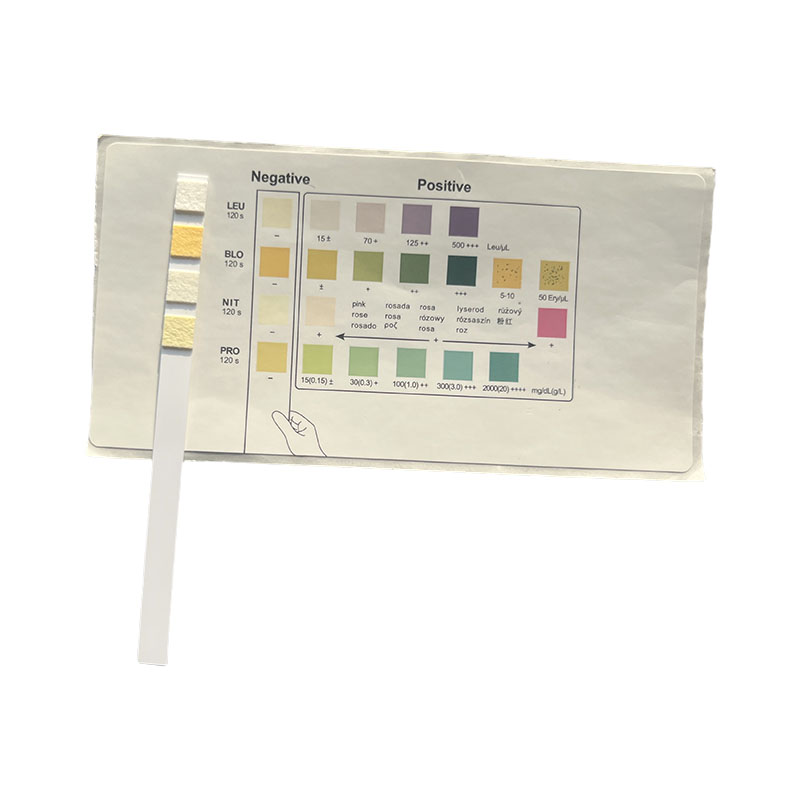 Rapid Self Test/Urine infection test/ UTI Test